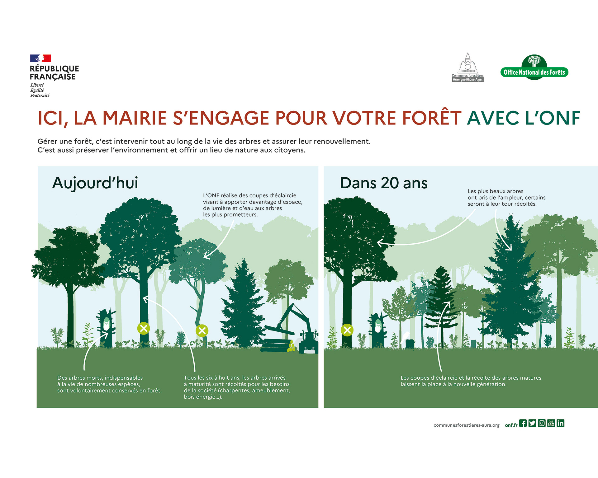 Panneaux et bâches d'informations en forêt communale - ONF/Cofor